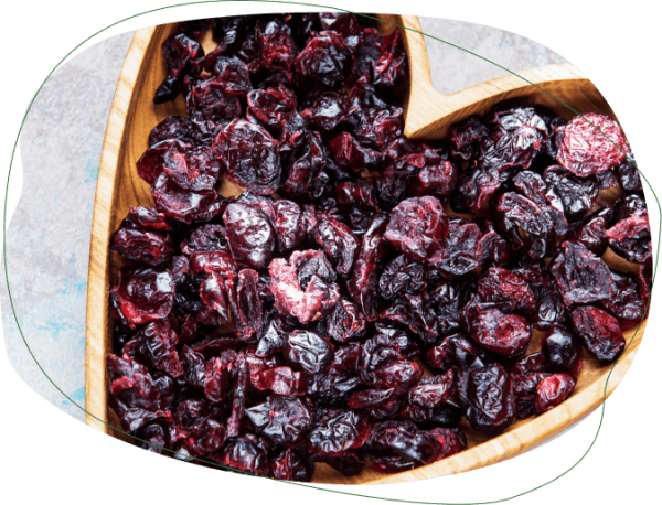 Dehydrated fruits - Transilvania Nuts